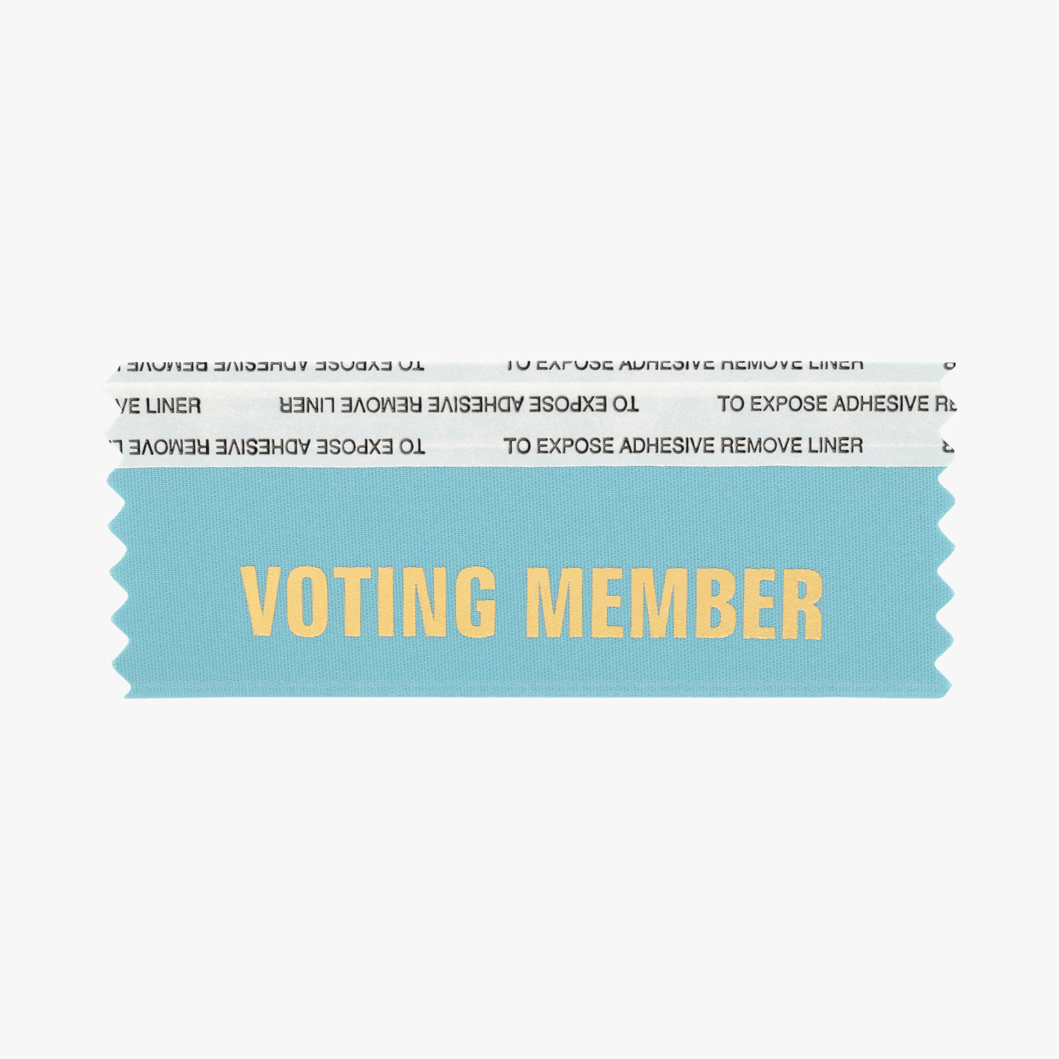 VOTING MEMBER Ribbon - Horizontal, H1-VOTINGMEMBER