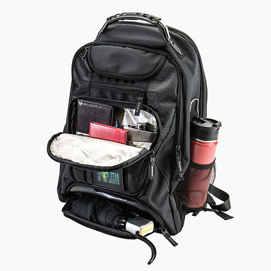 Sherpa Laptop Backpack, BK-19015 - Marco Promos