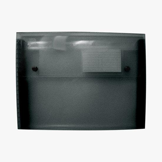 Translucent Snap Carry Case with 6-Pocket File - Blank, VIE-6PF-BL ...